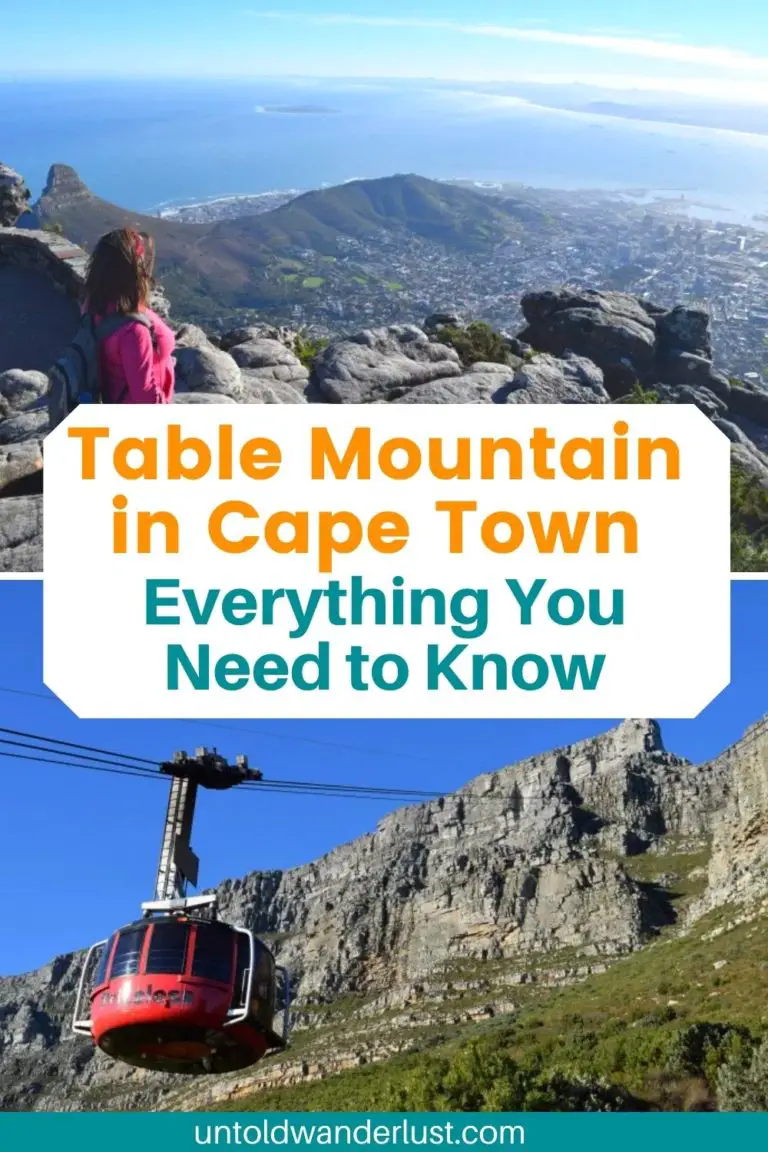 Information About Table Mountain | All There is to Know